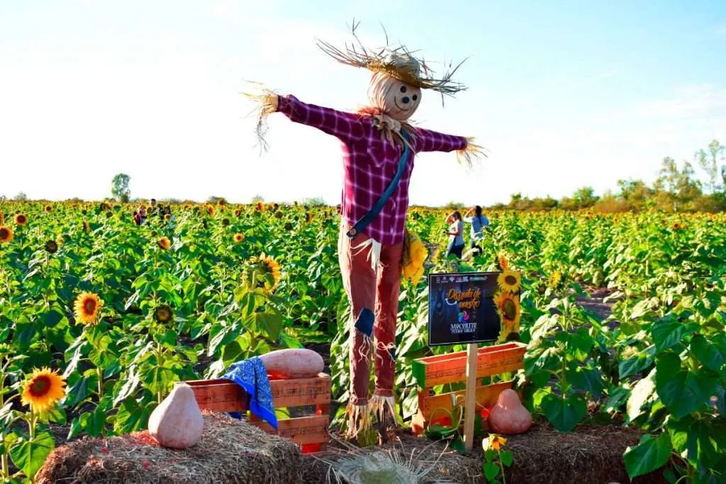 Turismo En Mocorito Sinaloa Pueblo Mágico | Dónde Ir Y Qué Hacer